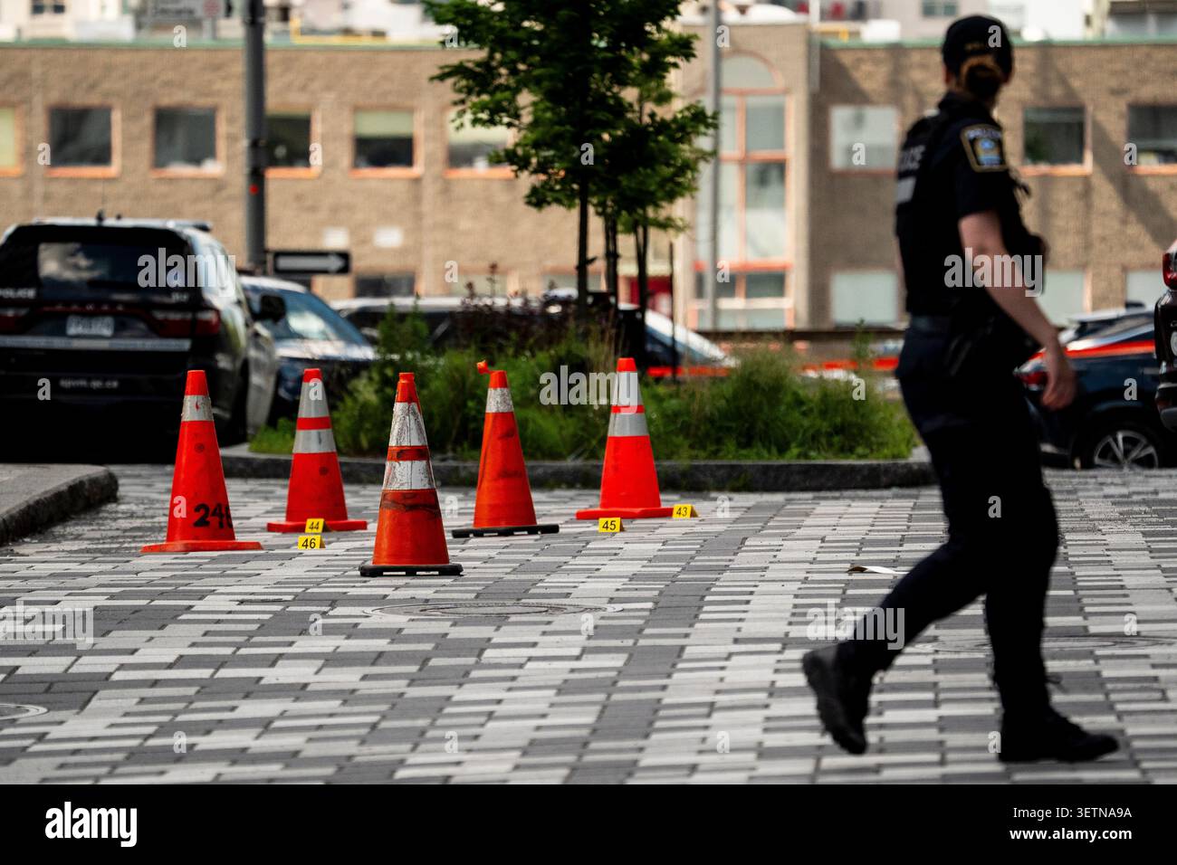 Montreal police work the scene of a shooting the day before, in ...
