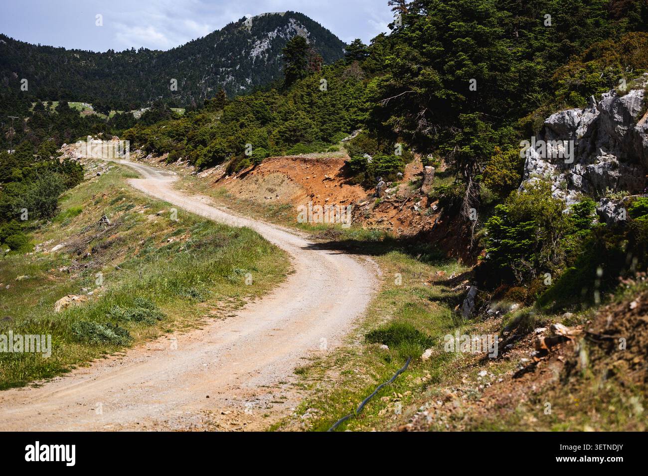 ambiance during the 2026 Acropolis Rally Greece, 8th round of the 2026 ...