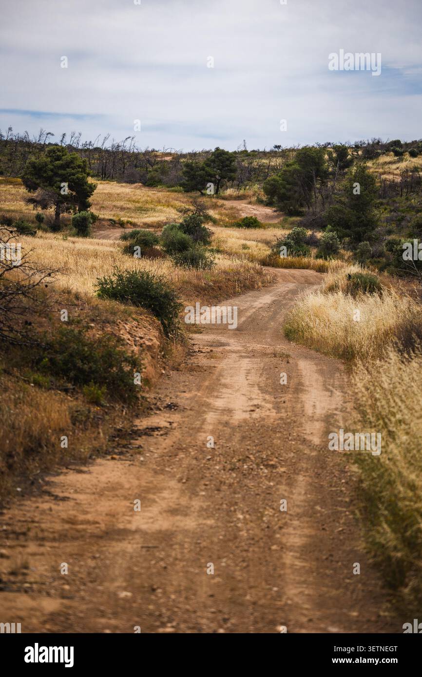 ambiance during the 2026 Acropolis Rally Greece, 8th round of the 2026 ...