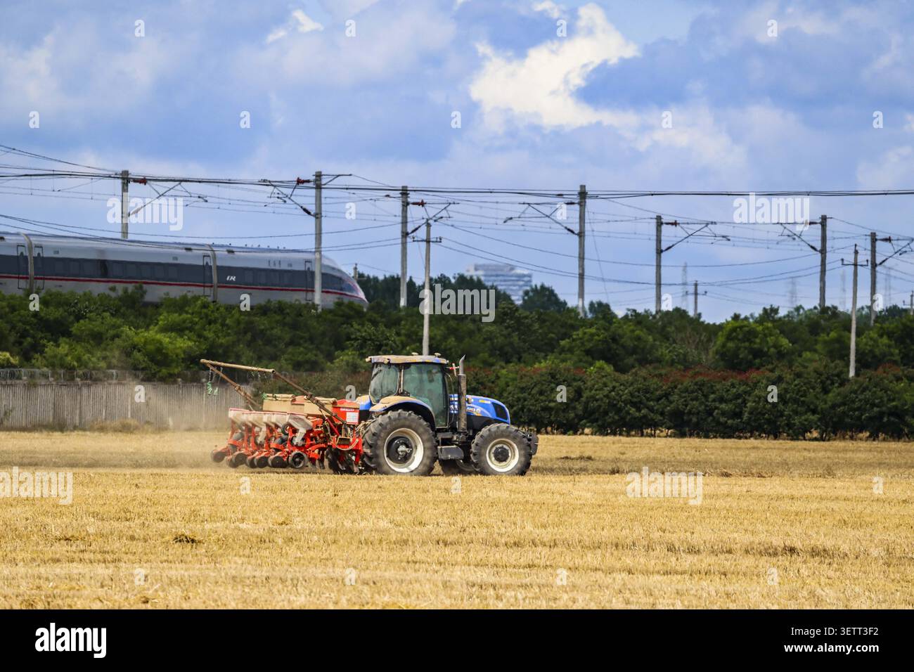 Farmers plant summer corn using no-till precision seeders in Dacang ...