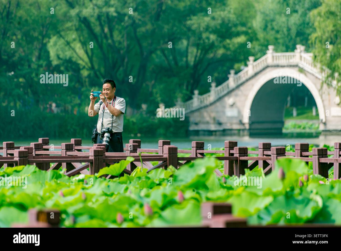 Citizens stroll by blooming lotus flowers at Wuzhou Lake Scenic Area in ...