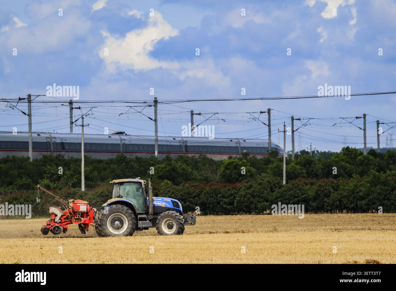 Farmers plant summer corn using no-till precision seeders in Dacang ...