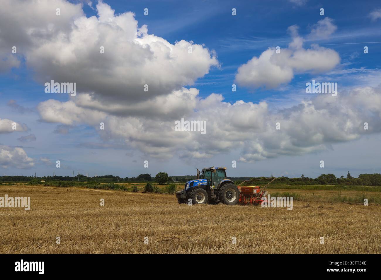 Farmers plant summer corn using no-till precision seeders in Dacang ...