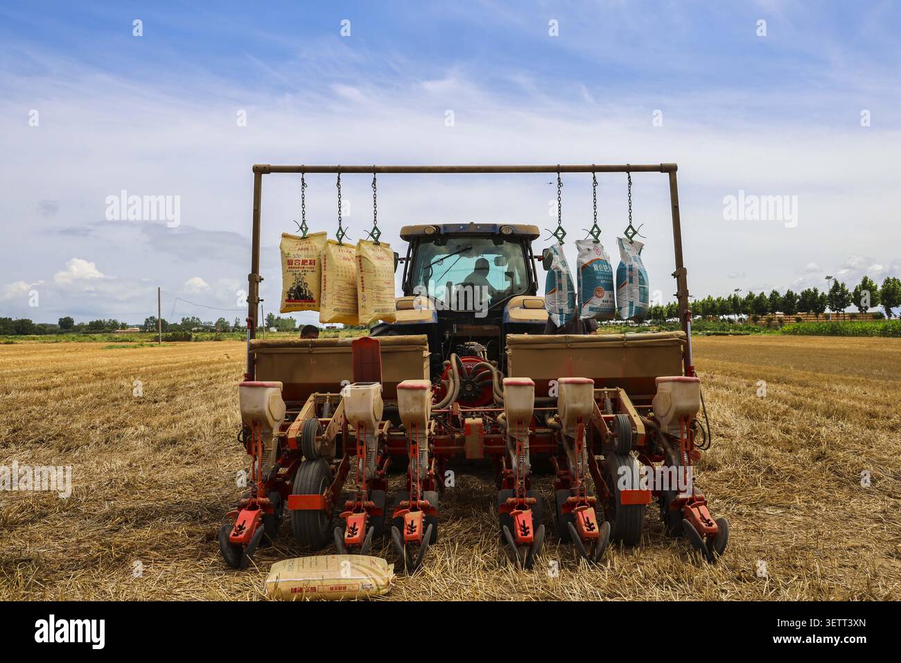 Farmers plant summer corn using no-till precision seeders in Dacang ...