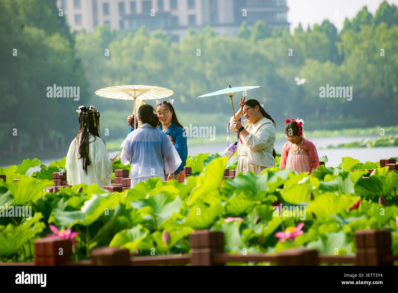Citizens stroll by blooming lotus flowers at Wuzhou Lake Scenic Area in ...