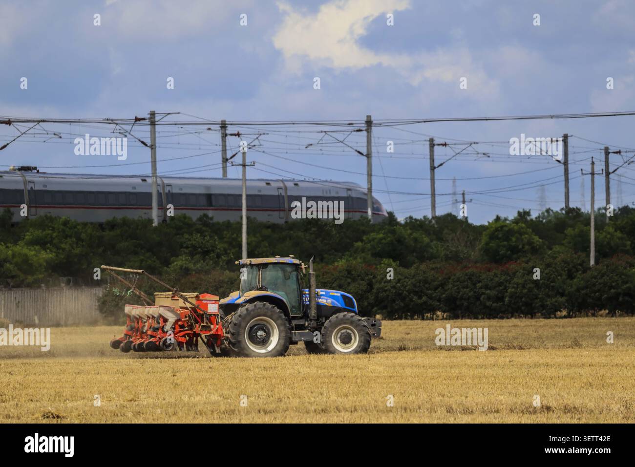Farmers plant summer corn using no-till precision seeders in Dacang ...