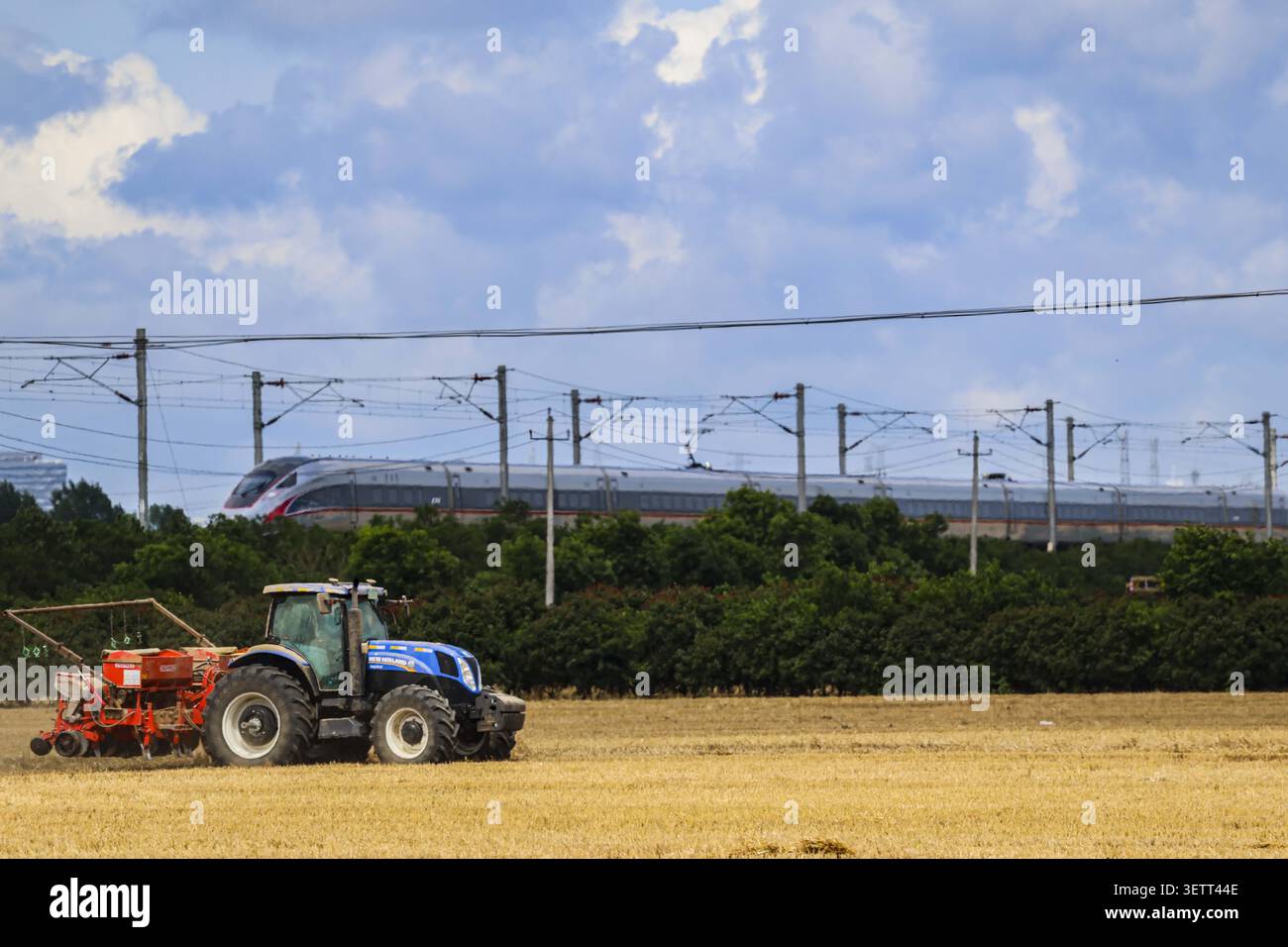 Farmers plant summer corn using no-till precision seeders in Dacang ...