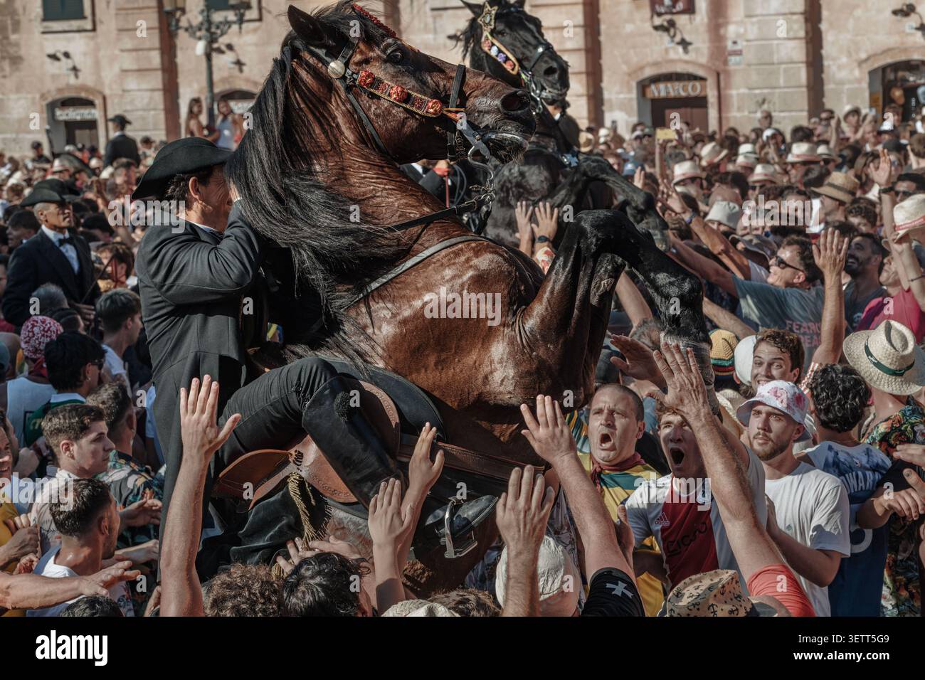 Ciutadella, Spain. 23 June, 2026: A 'caixer' (horse rider) rears up on ...