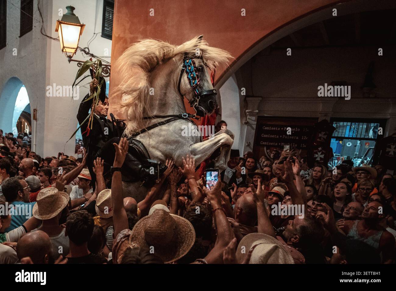 Ciutadella, Spain. 23 June, 2026: A 'caixer' (horse rider) enters up on ...