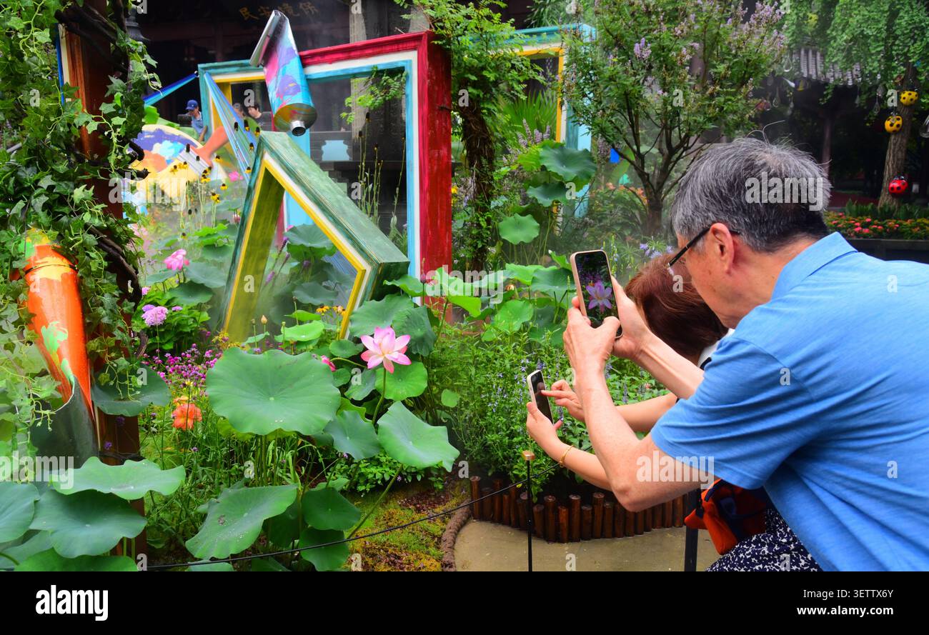 Visitors enjoy the 3rd West Lake Lotus Exhibition featuring over 50 ...
