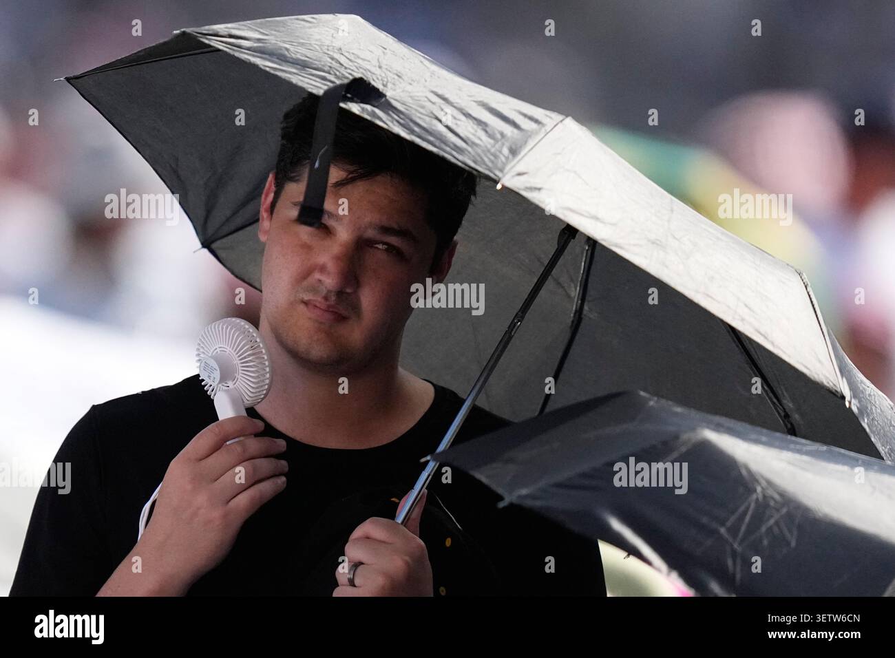 A faithful cools off as he waits for Pope Leo's XIV weekly general ...