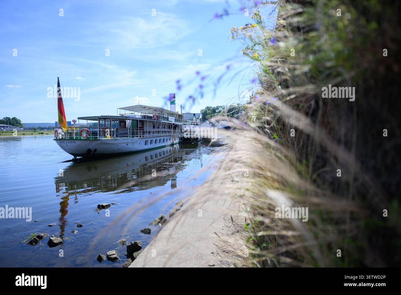 24 June 2026, Saxony, Dresden: The stern of the paddlewheel steamer ...