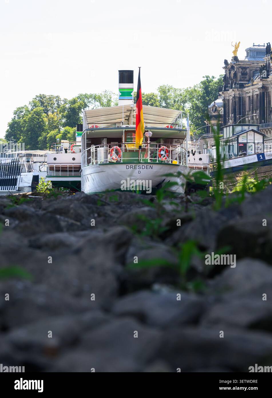 24 June 2026, Saxony, Dresden: The stern of the paddlewheel steamer ...