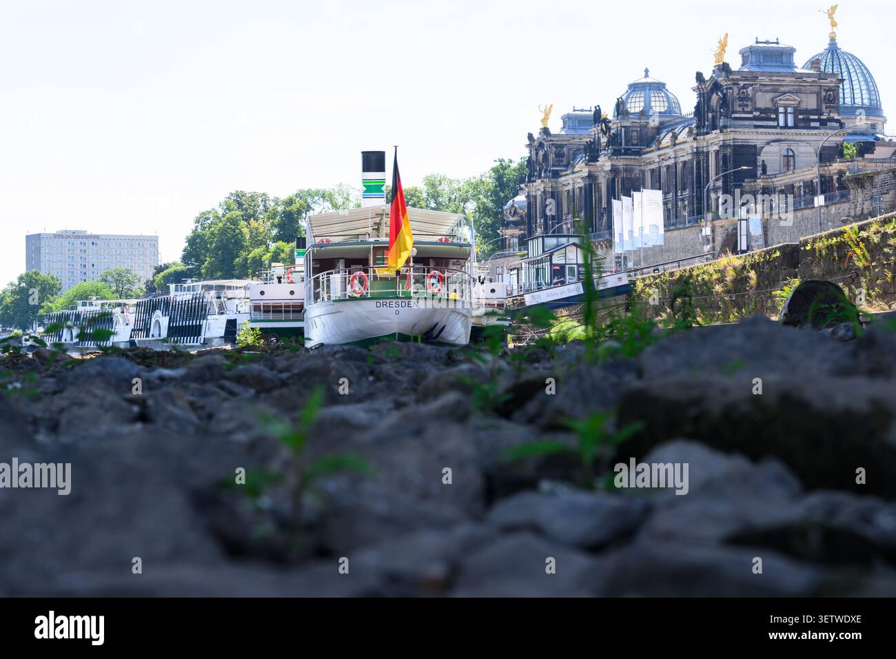 24 June 2026, Saxony, Dresden: The stern of the paddlewheel steamer ...