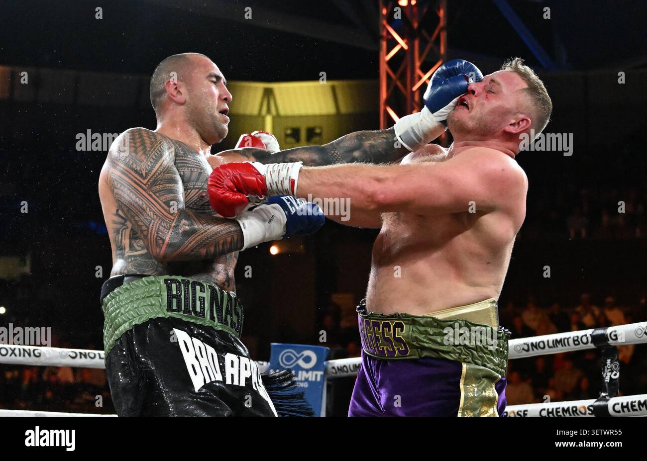 Nelson Asofa-Solomana (left) punches George Burgess (right) during ...