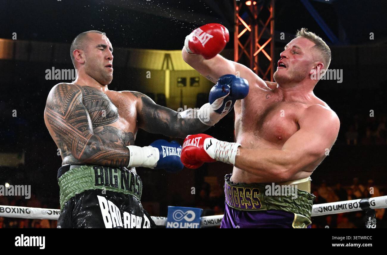 Nelson Asofa-Solomana (left) punches George Burgess (right) during ...