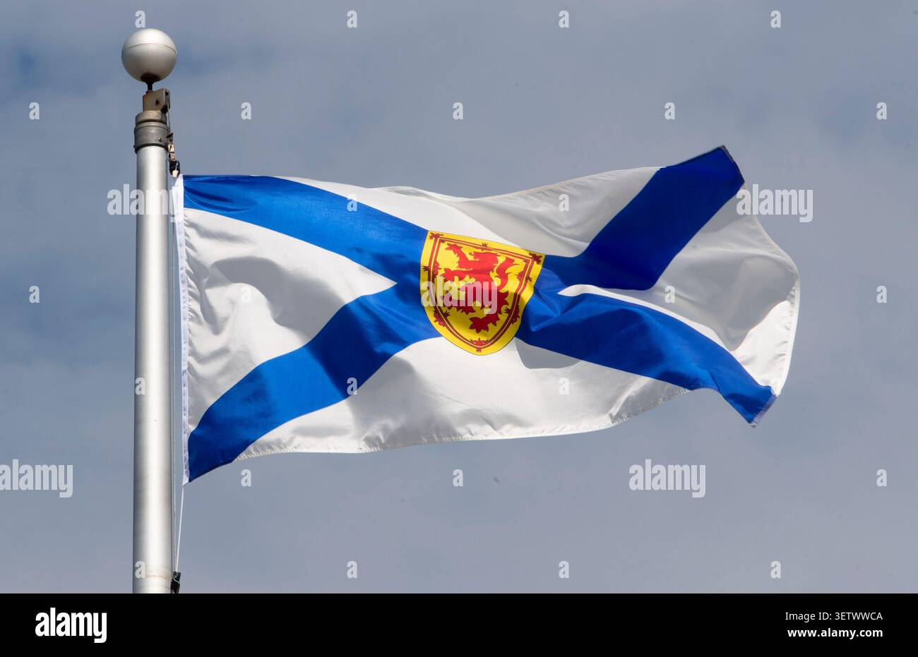 Nova Scotia's provincial flag flies on a flagpole in Ottawa on June 30 ...