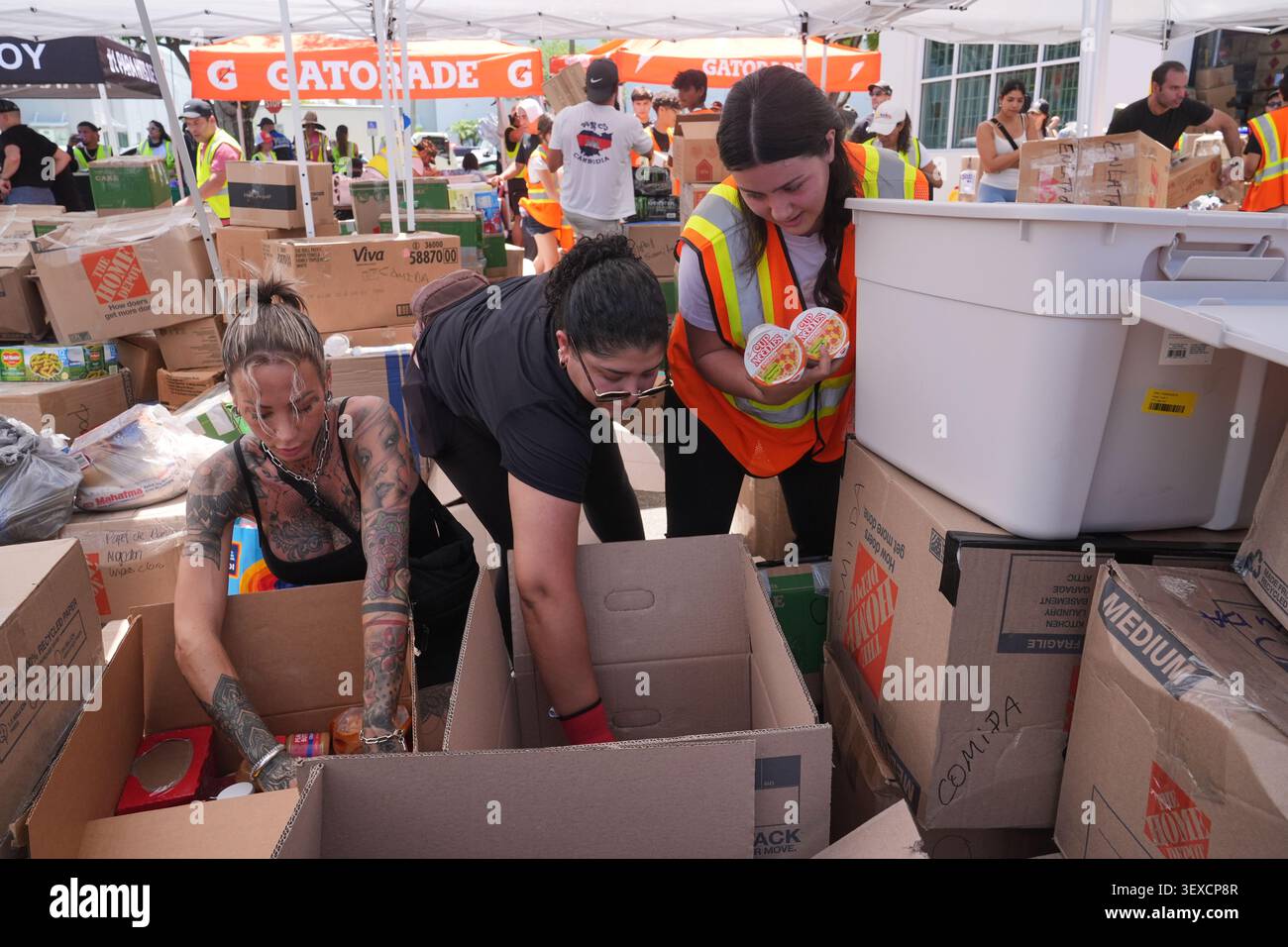 Volunteers sort boxes with food at the at the Global Empowerment ...