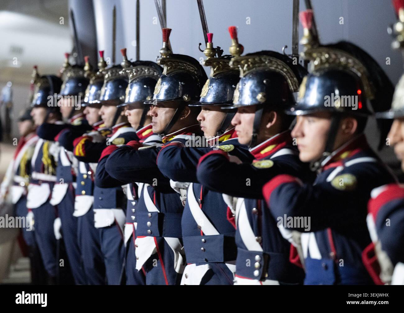 30 June 2026, Argentina, Buenos Aires: A guard of honor welcomes German ...