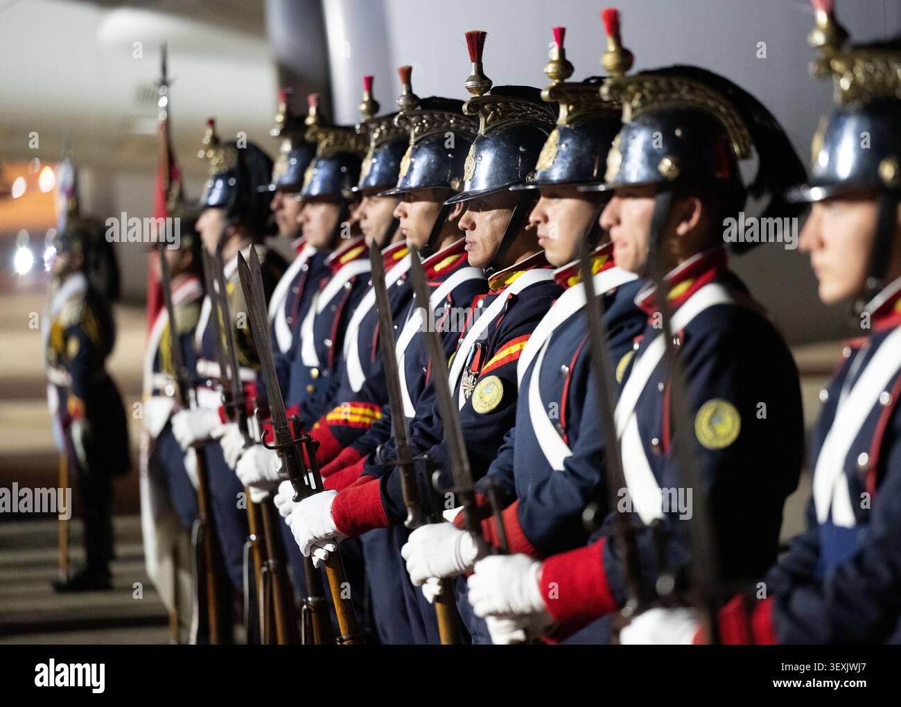 30 June 2026, Argentina, Buenos Aires: A guard of honor welcomes German ...