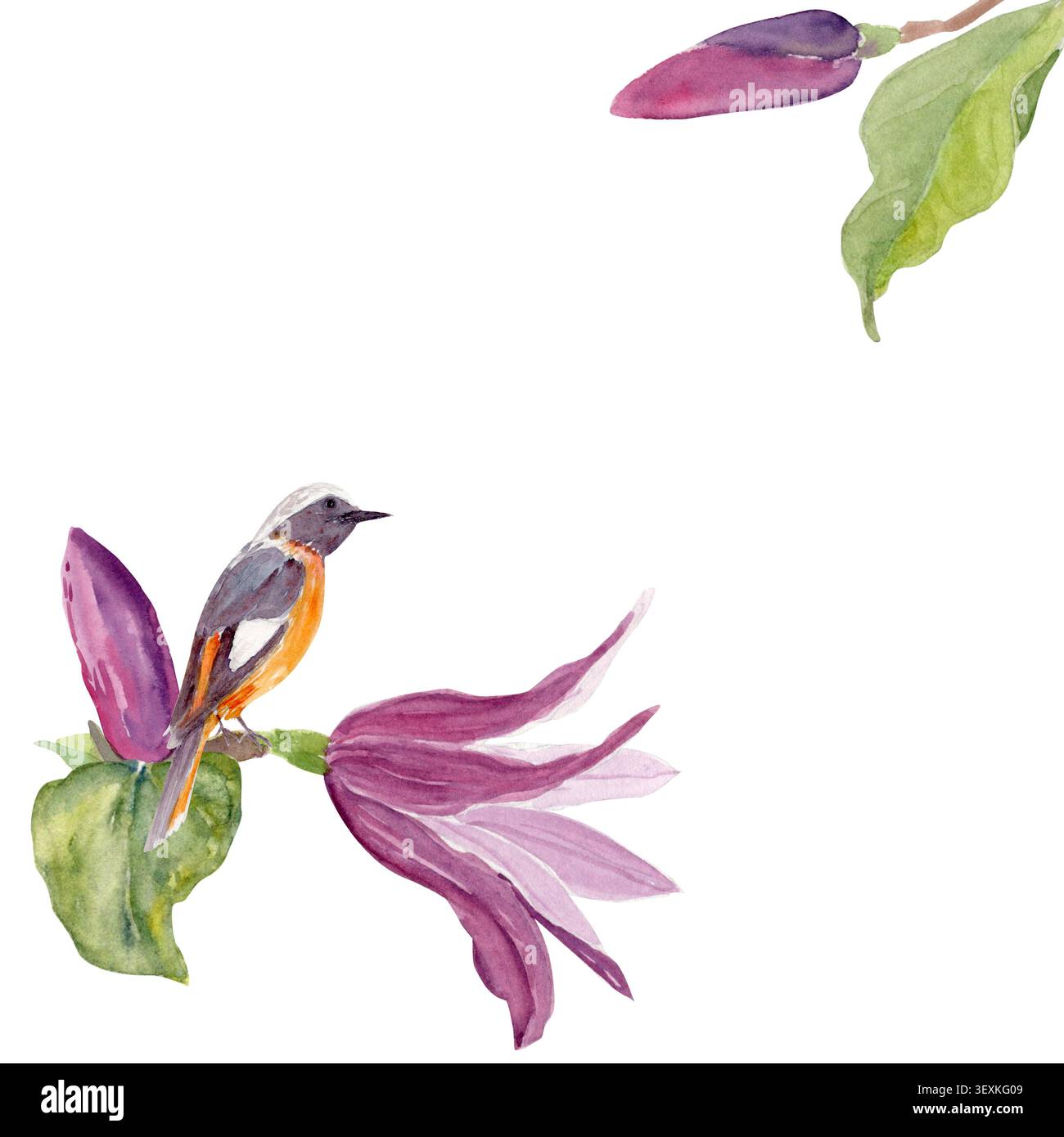 Watercolor floral corner border with purple magnolia branch and ...