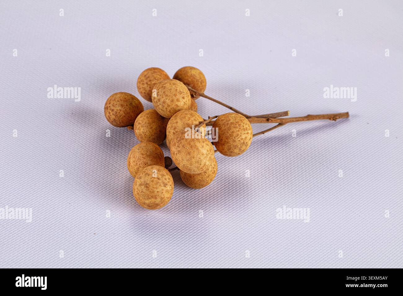 Closeup of ripe longan fruits clustered on thin branch, soft golden ...