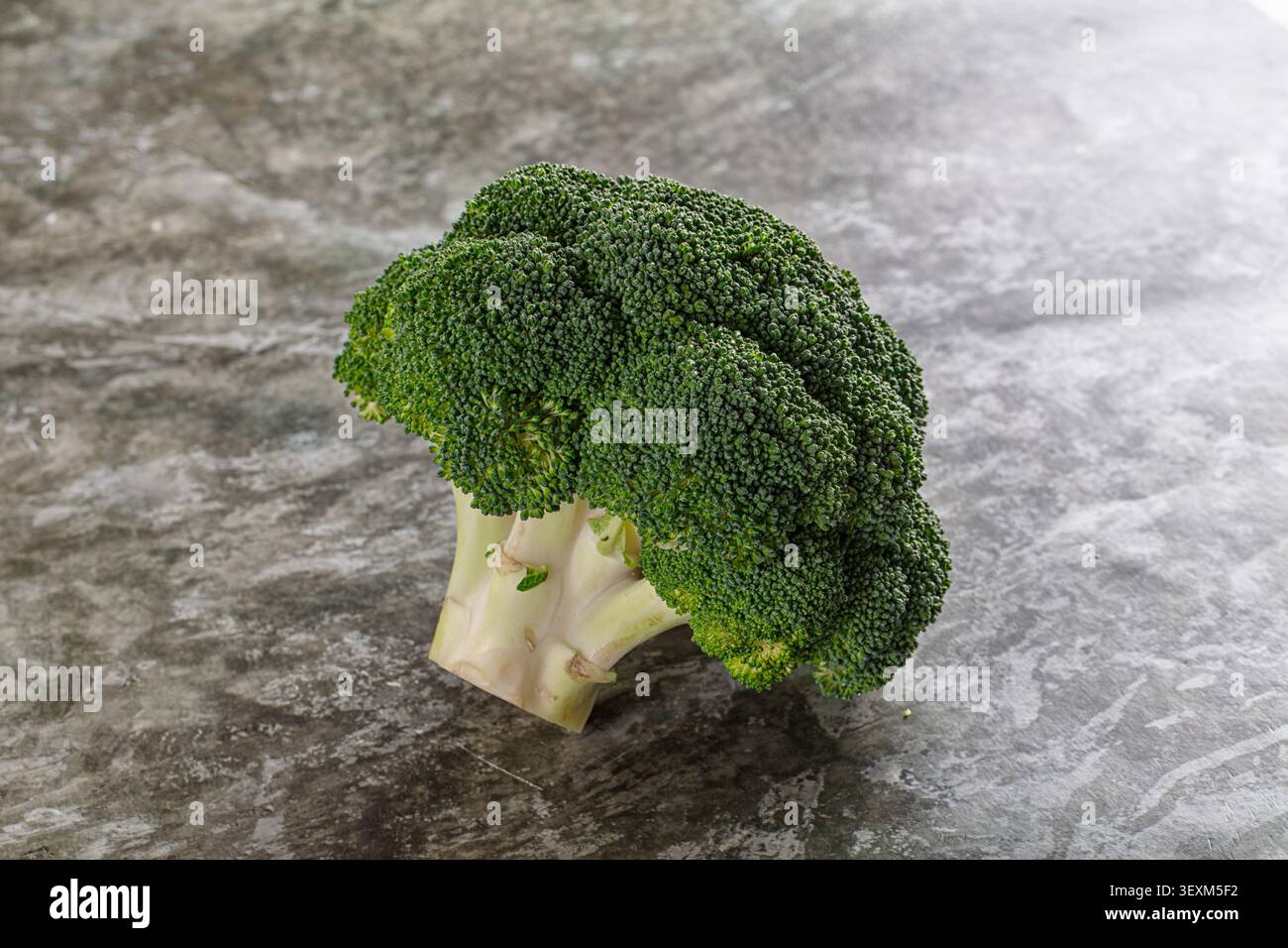 Vibrant green broccoli with tight florets pale stem resting on ...