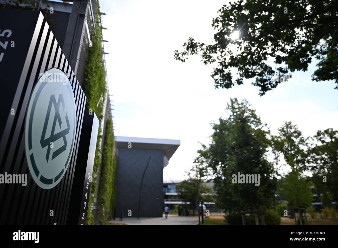 01 July 2026, Hesse, Frankfurt/Main: The DFB logo. Photo: Florian ...