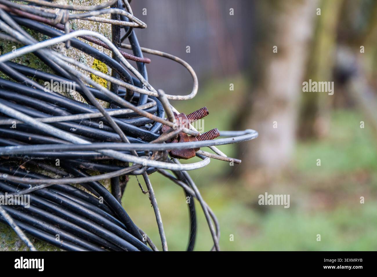 Wires are wrapped around a post with rusted bolts showing. Trees and ...