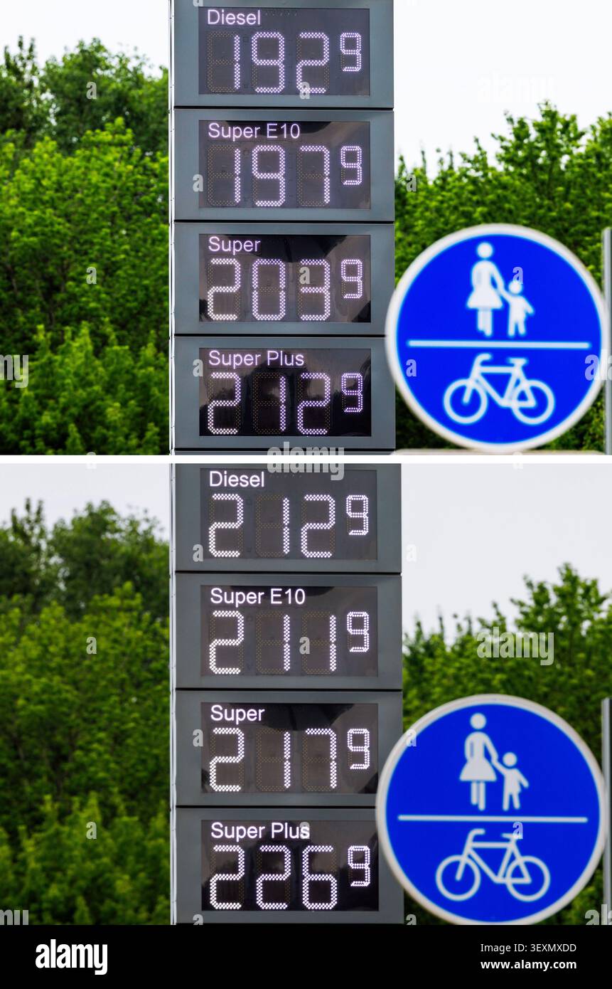 01 July 2026, Mecklenburg-Western Pomerania, Rostock: This pair of ...
