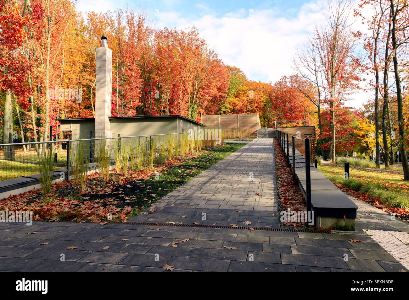 A paved walkway leads through a park square adorned with trees ...
