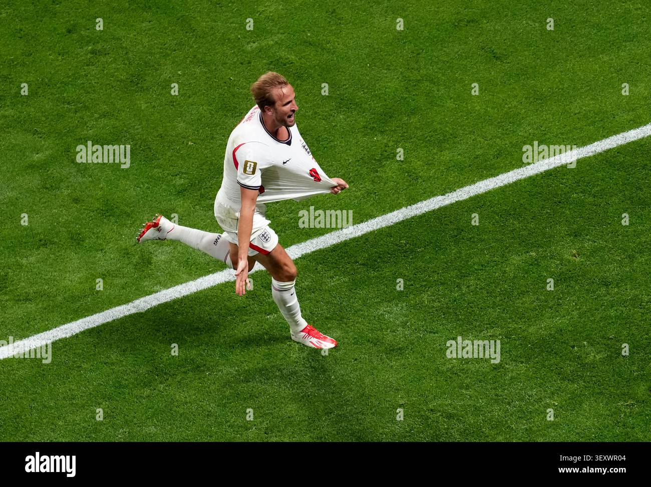 England's Harry Kane celebrates after scoring his sides second goal ...