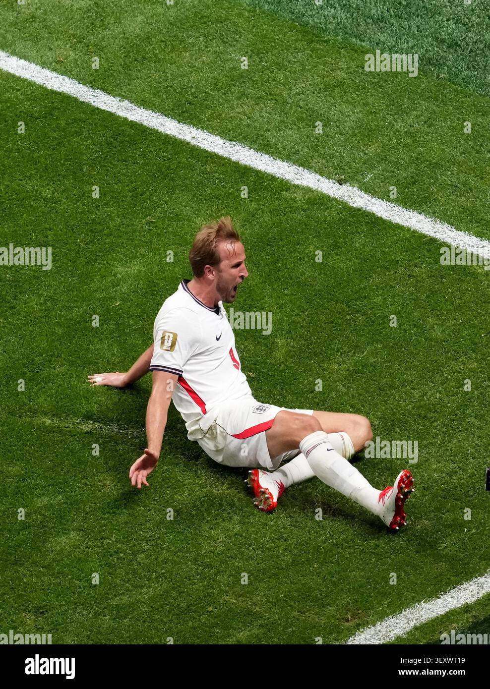 England's Harry Kane celebrates after scoring his sides second goal ...