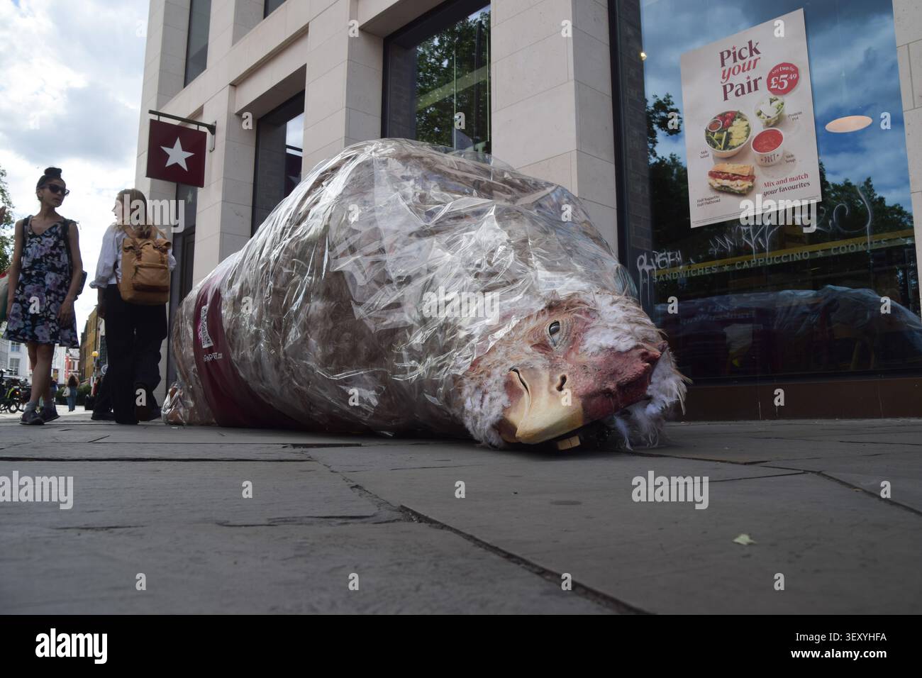London, UK, 1st July 2026. Activists from the group Anima stage a ...