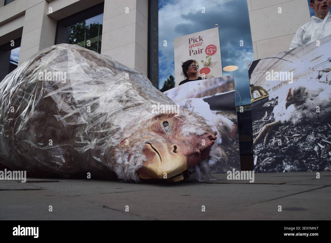 London, UK, 1st July 2026. Activists from the group Anima stage a ...