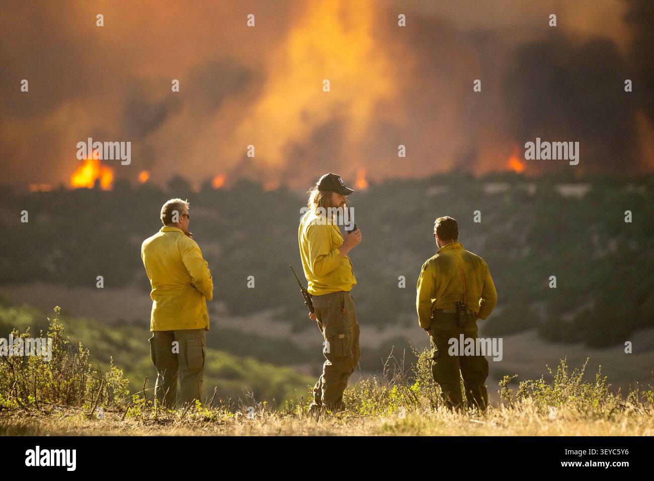 Firefighters monitor the Aspen Acres Fire near Colorado City, Colo., as ...
