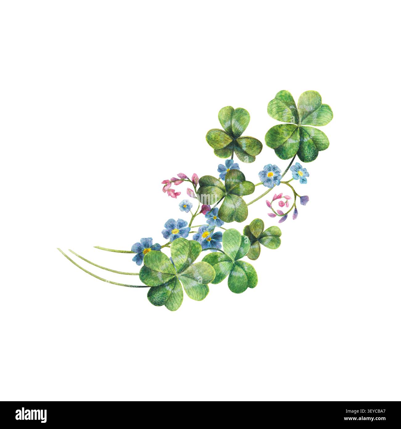 Sprig of four-leaf clover and blue forget-me-not hand drawing ...