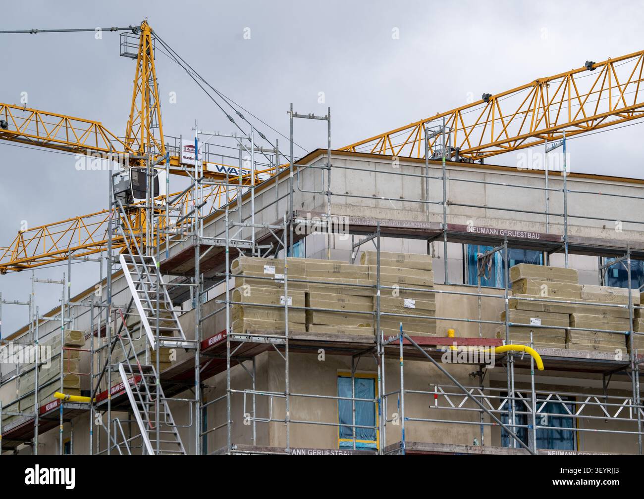 03 July 2026, Berlin: Two cranes, photographed during a tour of Berlin ...