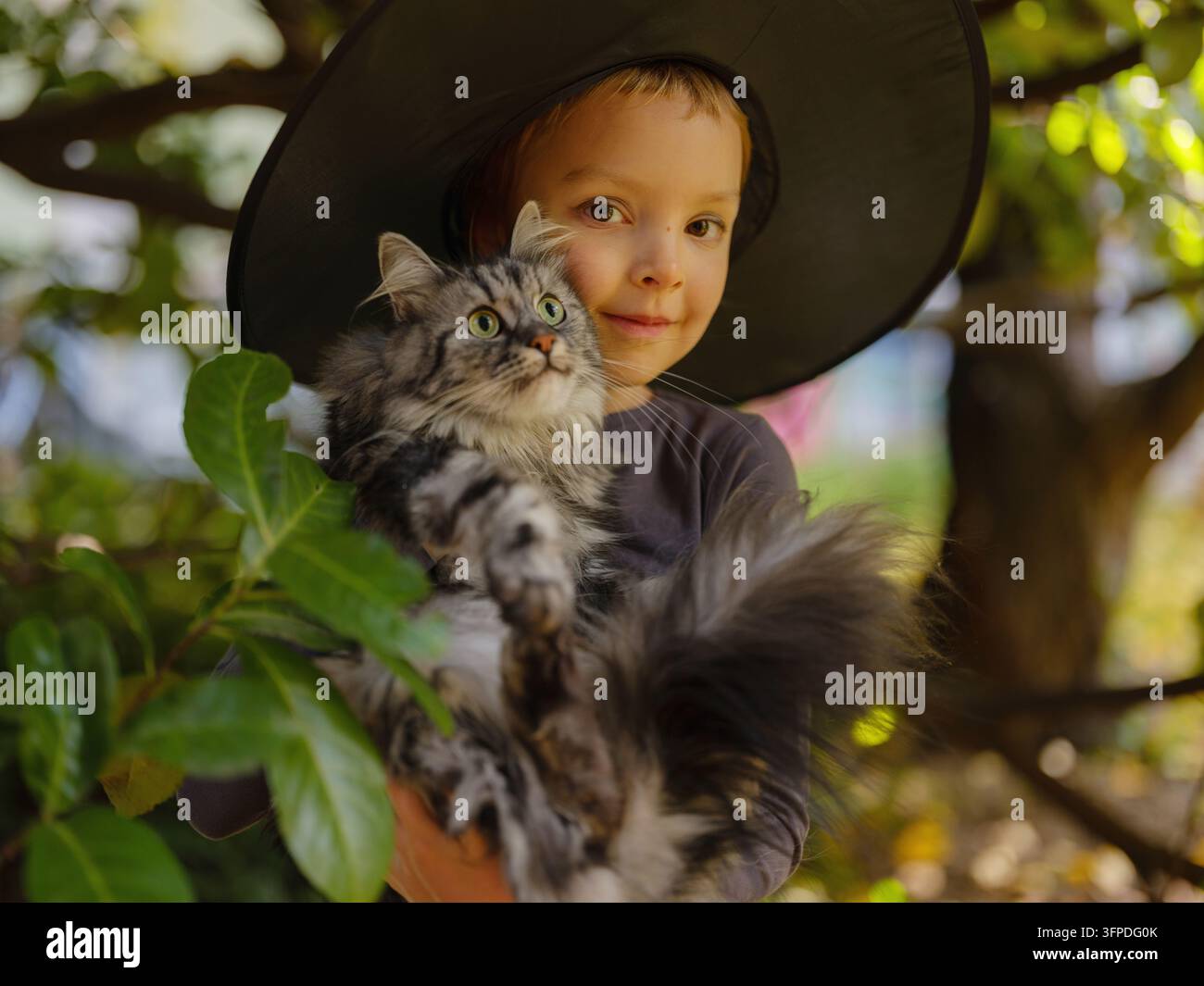 Cute seven year old girl playing with fluffy grey cat in autumn garden ...