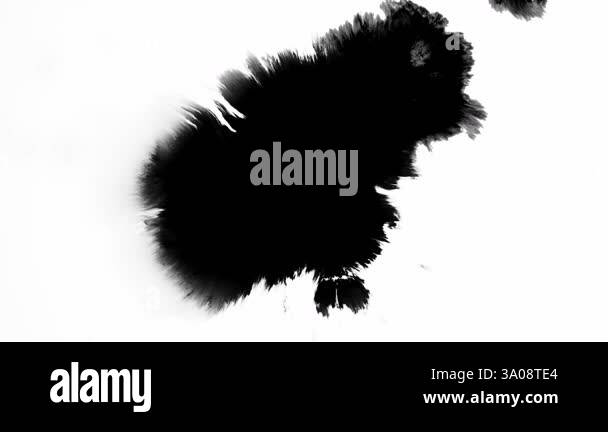 Ink blot gallery Stock Videos & Footage - HD and 4K Video Clips - Alamy