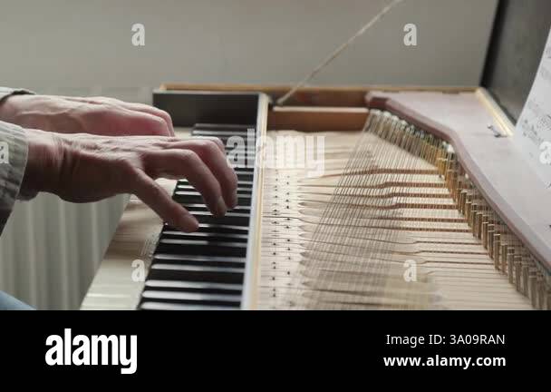 Musical instrument clavichord Stock Videos & Footage - HD and 4K Video ...