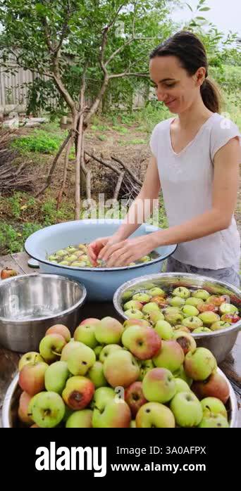 Young woman washing cleaning in water fresh collected organic dirty red ...