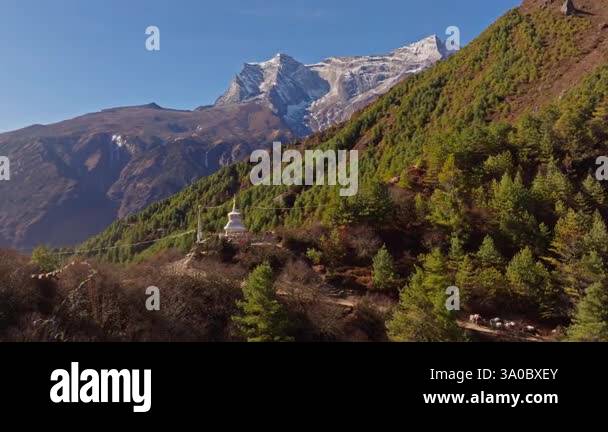 Verdant forest blanketing Himalayan slopes, white stupa resting near ...