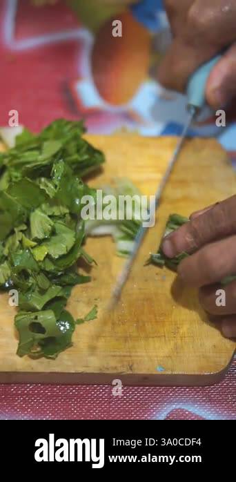 A man is cutting green mustard greens or in Latin Brassica rapa, with a ...