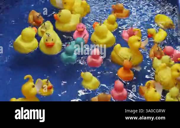 Yellow Ducks Floating in Pool of Water Amusement Park Fishing Game for ...