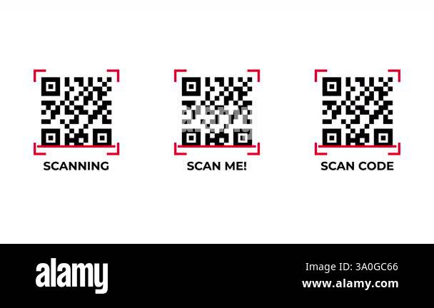 QR Code Scanning Animation. Animated loop of QR code scanning with an alpha channel on a ...