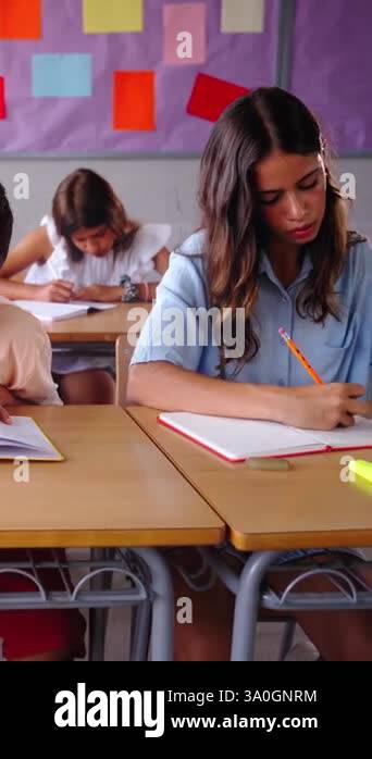 Portrait smiling university students Stock Videos & Footage - HD and 4K ...