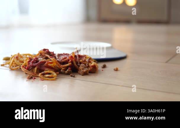 A plate of spaghetti has fallen to the floor, creating a messy scene ...
