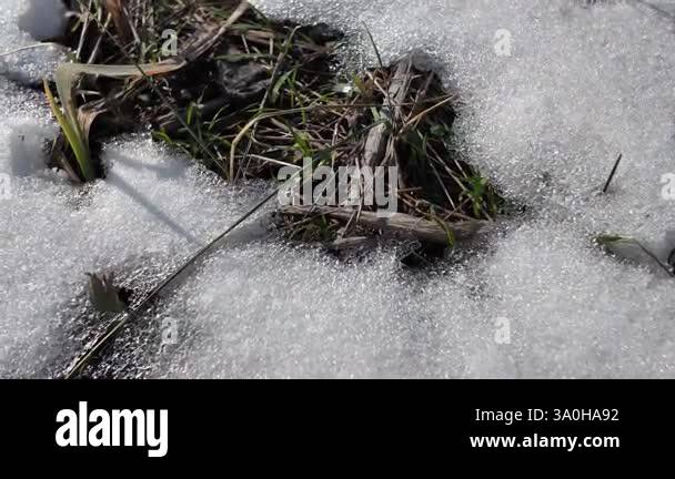 Spring Thaw. Large Puddle On Soil Sky Reflection In Water Landscape ...