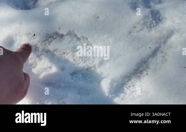 Snow on the palm. Blurred background. Winter concept. Slow mo Close up ...